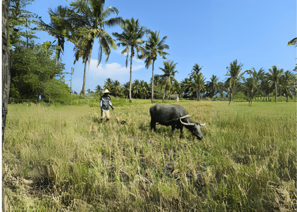 Weather Protect Insurance - CLIMBS